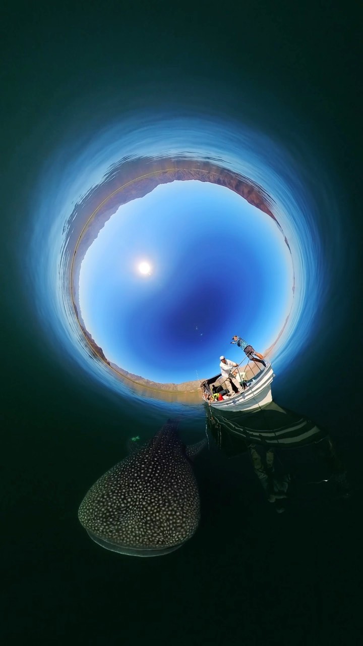 Video by Clinton Kyle Christensen on Pinno: Down The Rabbit Hole 🎥 ...