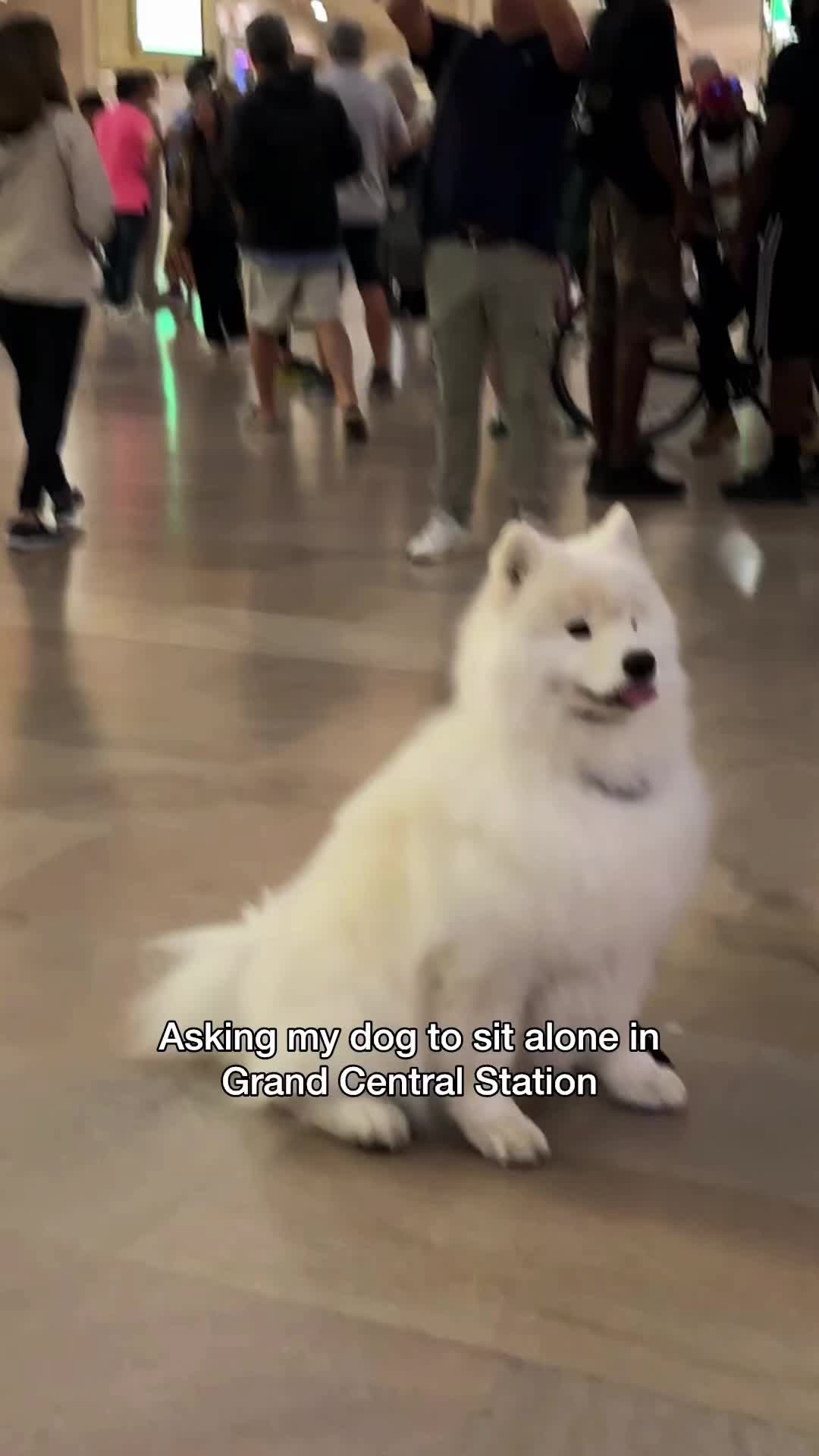 boomer_the_landcloud@tiktok on Pinno