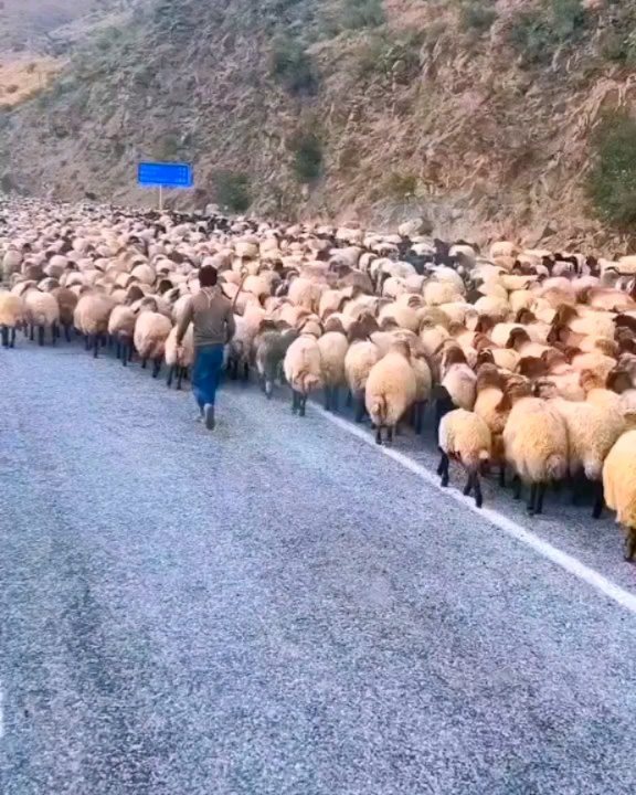 ti_tal_2@instagram on Pinno: ﮐﻮﭺ ﯾﻌﻨﯽ ﺯﻧﺪﮔﯽ ﻫﻤﺮﺍﻩ ﺍﯾﻞ ﺑﺎﺯﮔﺸﺖ ﺗﺎﺯﻩ ﺍﺯ...