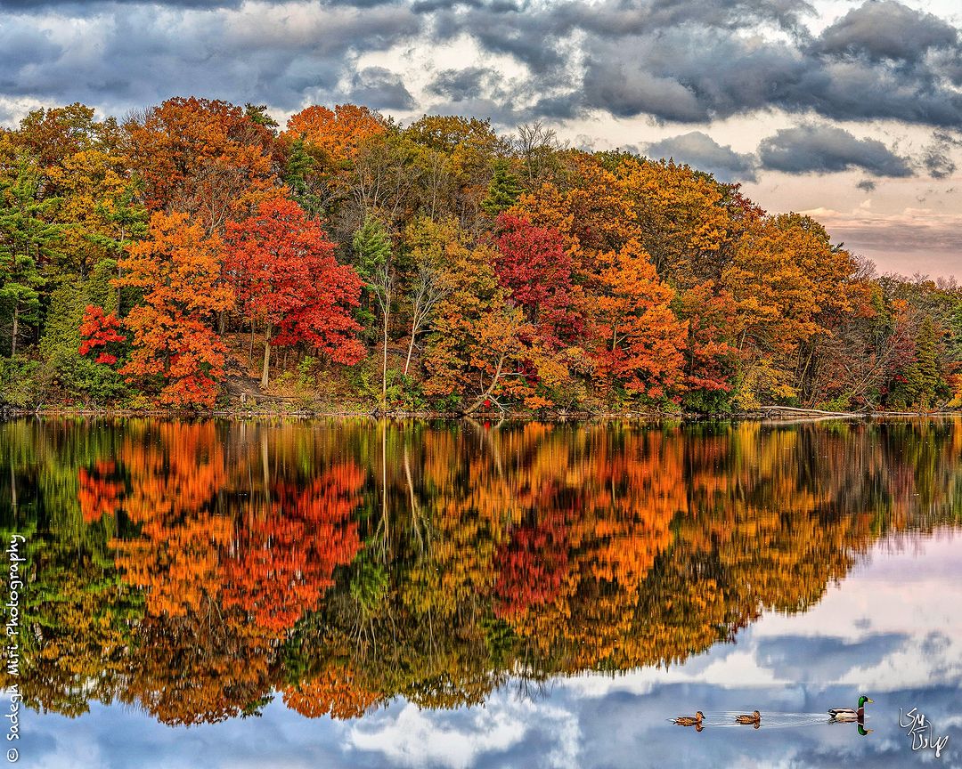 sadegh_miri_photography@instagram on Pinno: Autumn is a second spring ...