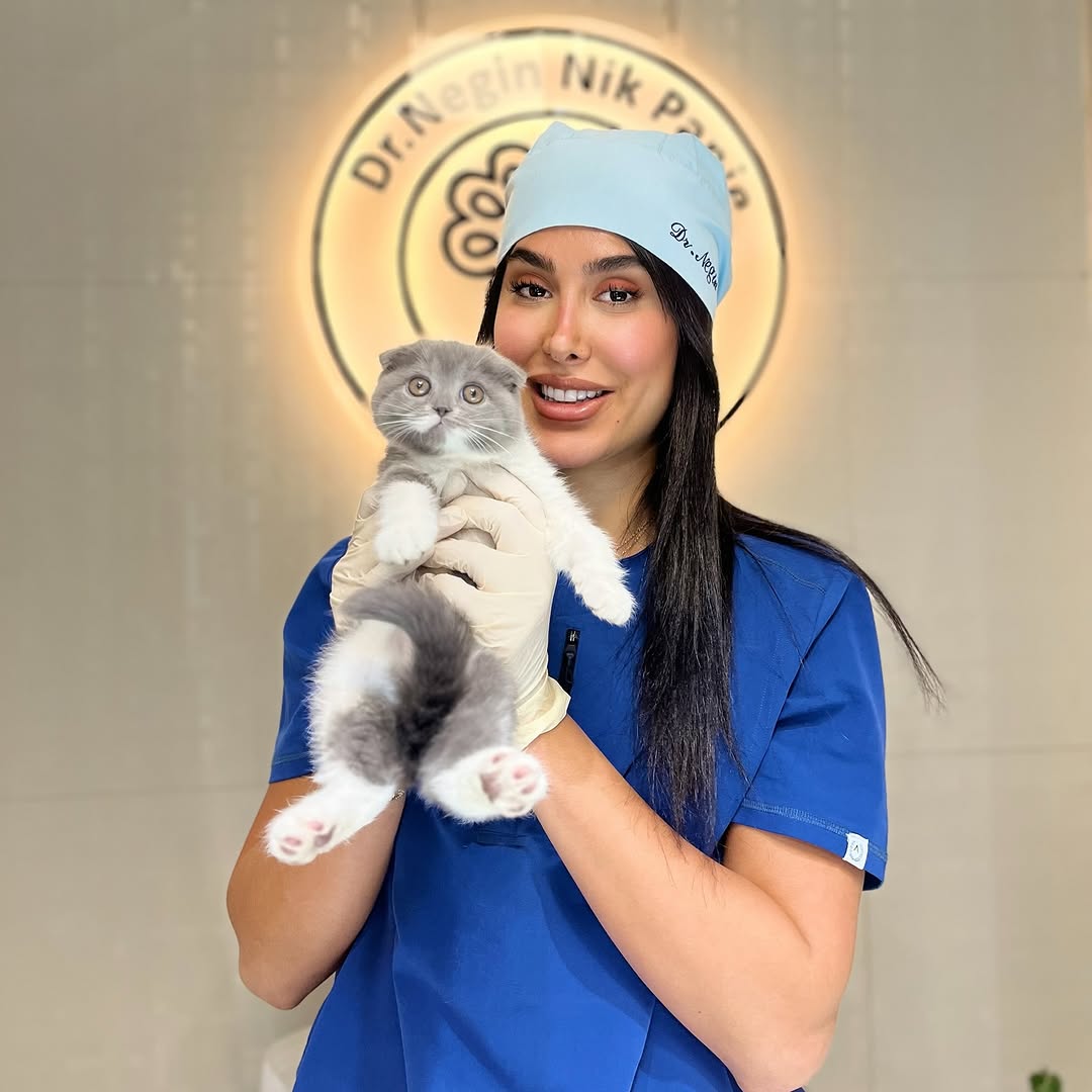 dr.negin.vet@instagram on Pinno: بسیار اهمیت دارد که ما به هر کس و هر آنچه که با آن برخورد می ...