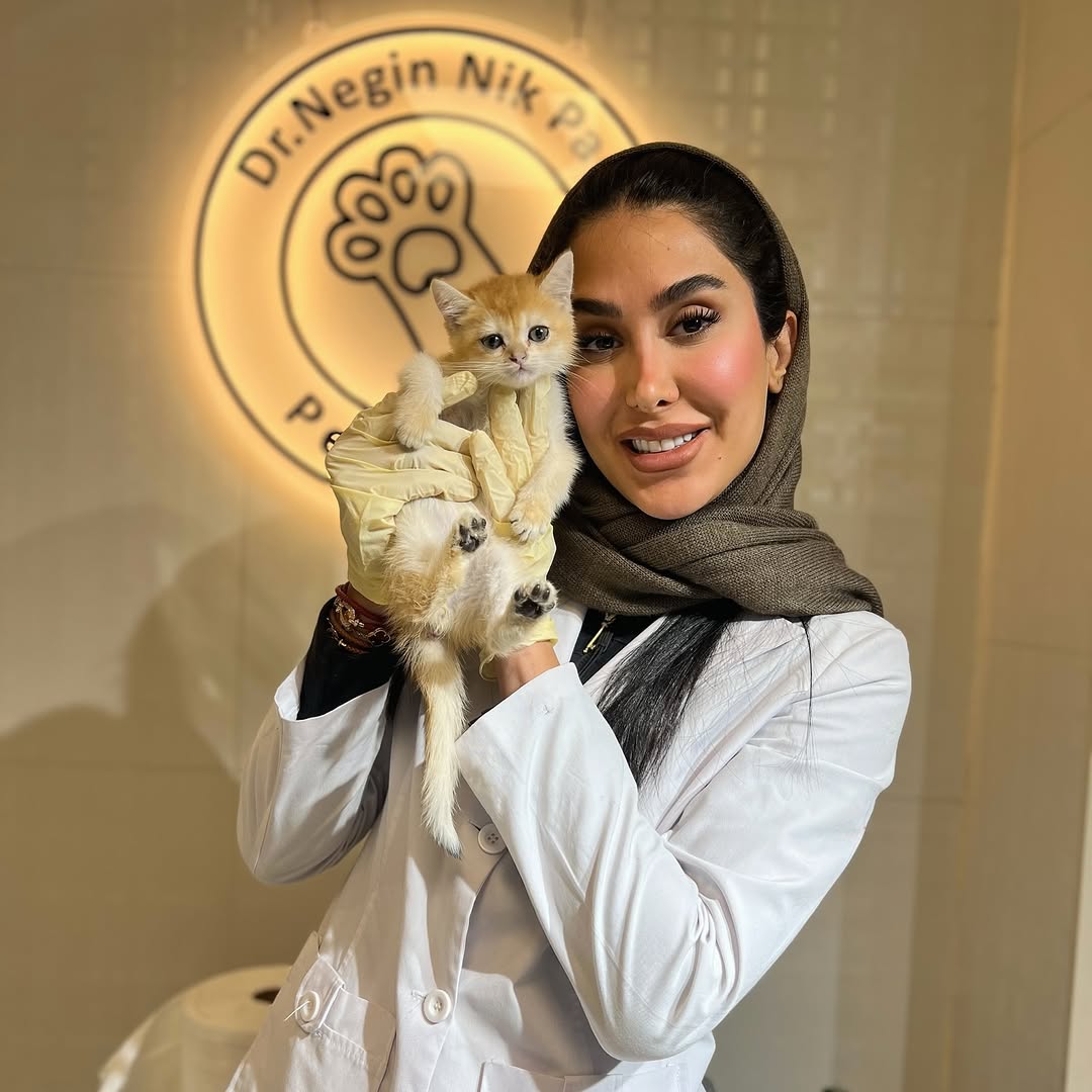 dr.negin.vet@instagram on Pinno: بسیار اهمیت دارد که ما به هر کس و هر آنچه که با آن برخورد می ...