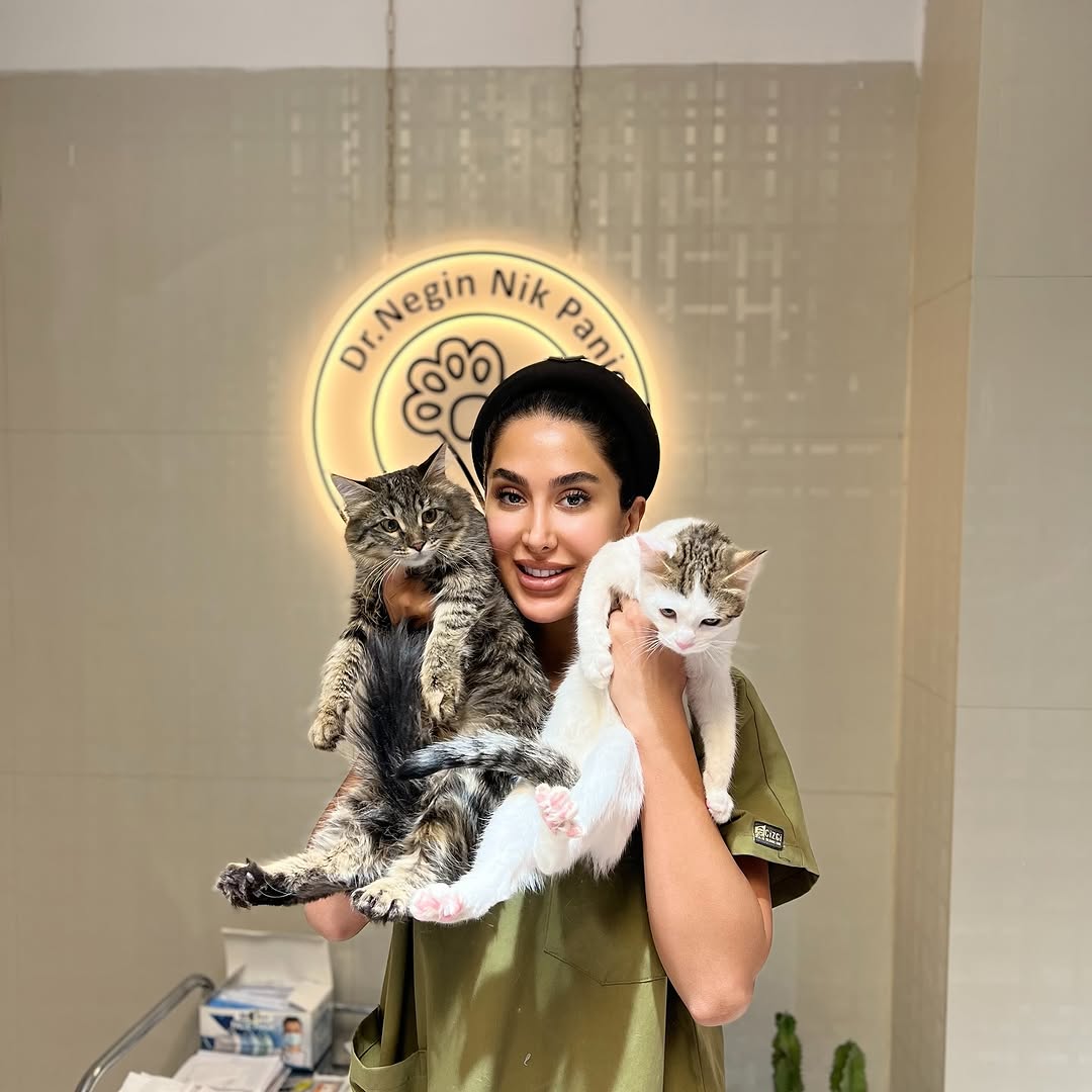 dr.negin.vet@instagram on Pinno: بسیار اهمیت دارد که ما به هر کس و هر آنچه که با آن برخورد می ...