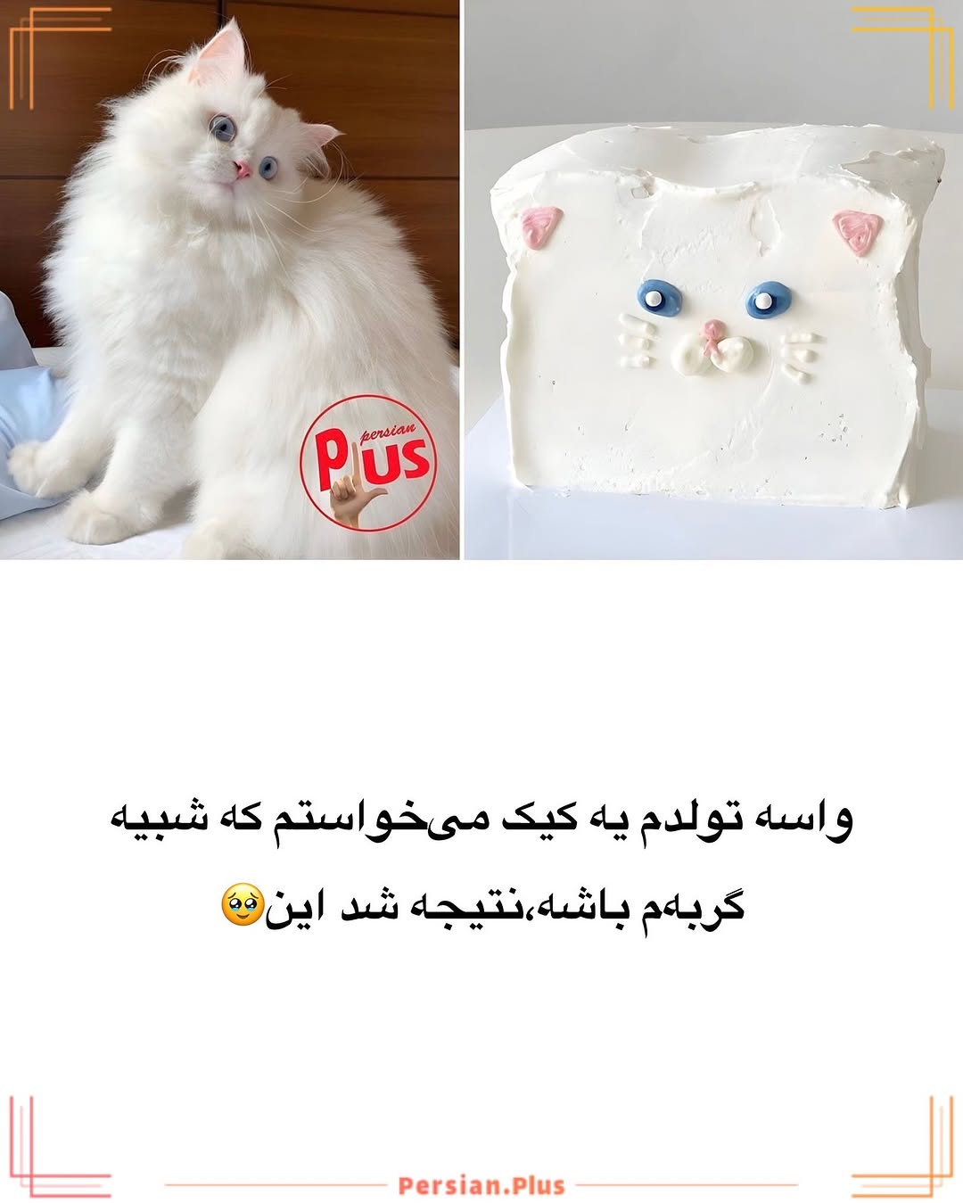 persian.plus@instagram on Pinno: کیک‌های بامزه‌ای که آدما دیدن😊😍
