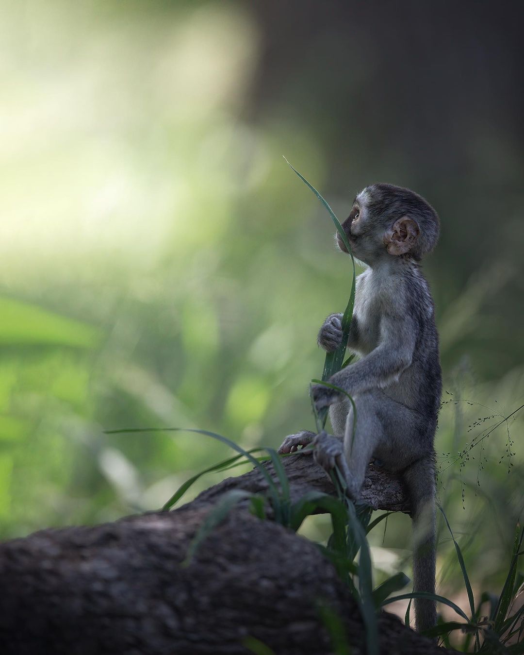 sharon.vanadia@instagram on Pinno: 500K TIMES THANK YOU ️ When I started...