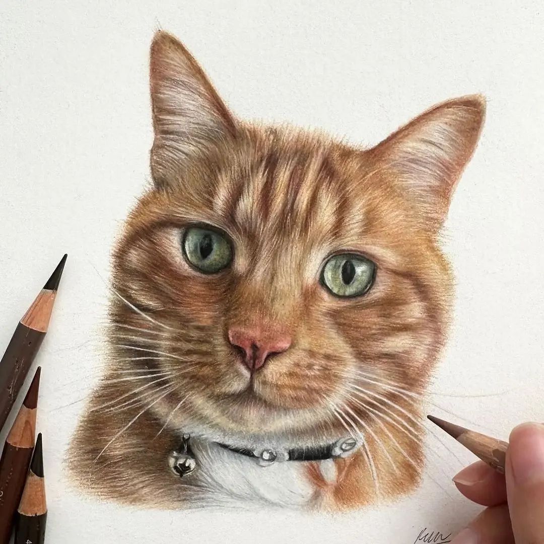art_4world@instagram on Pinno: ️ Incredible Cat Portrait Drawing by ...