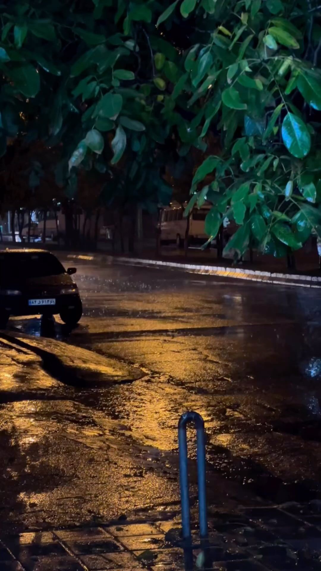 dll_shkaw_19@instagram on Pinno: له هەر شوێنێک که “ئەوین” هەیه، “ژیانیش”