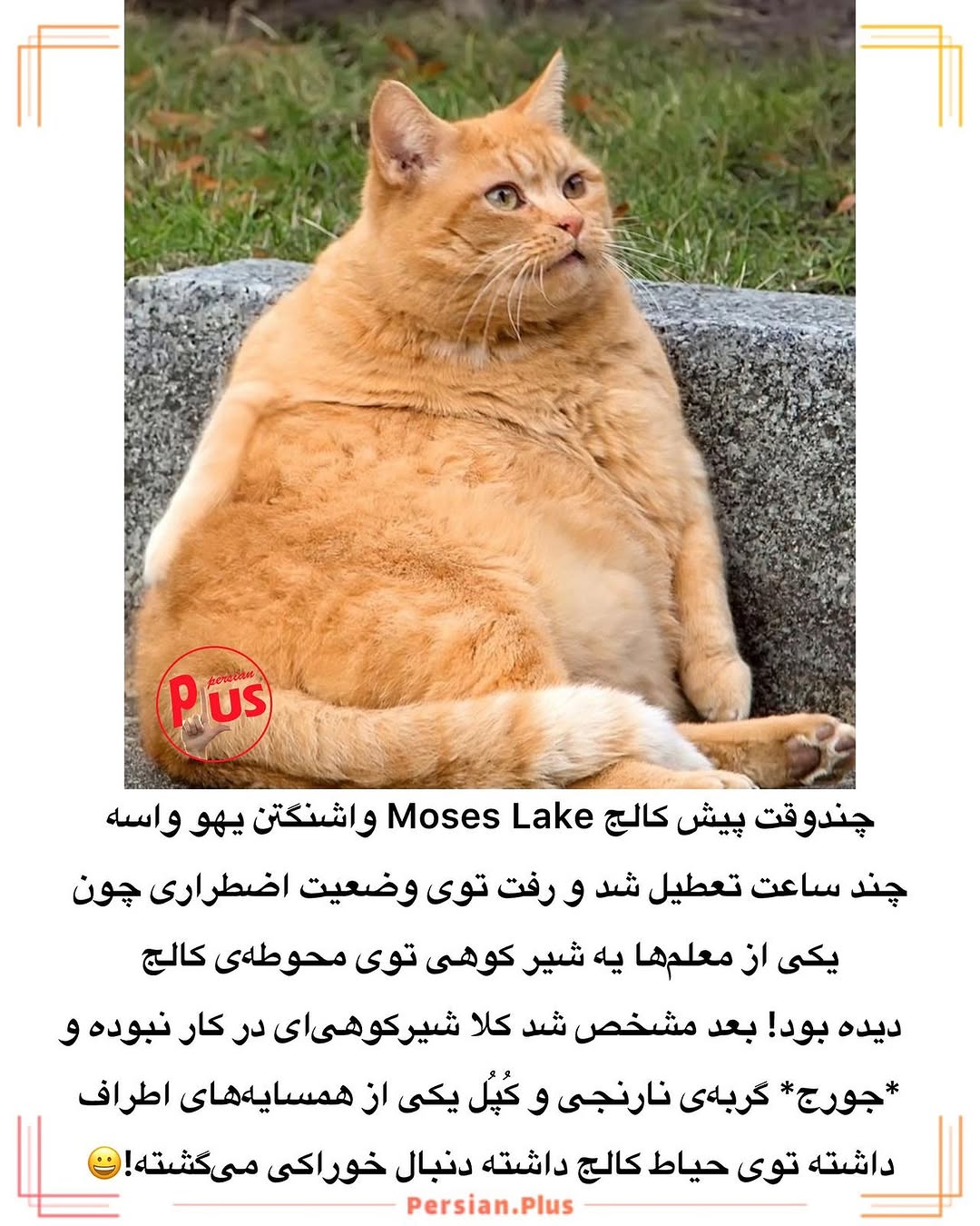 مجله و بلاگ پرشین پلاس on Pinno: قیافشو🥺🥹