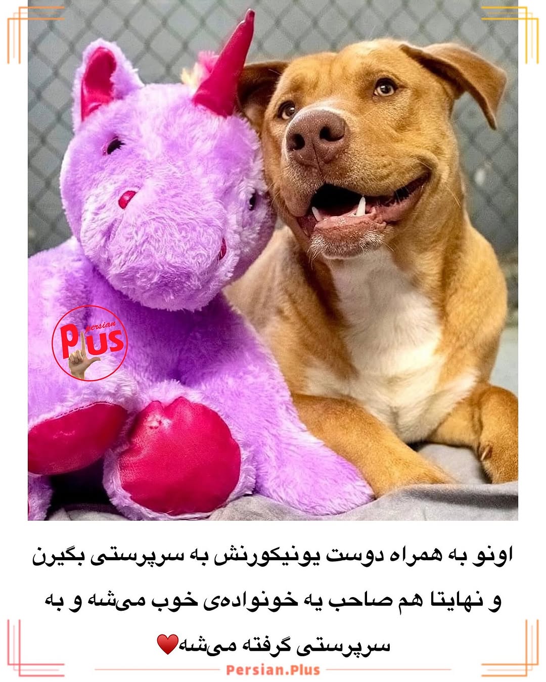 persian.plus@instagram on Pinno: آخی🥺🥺🥺