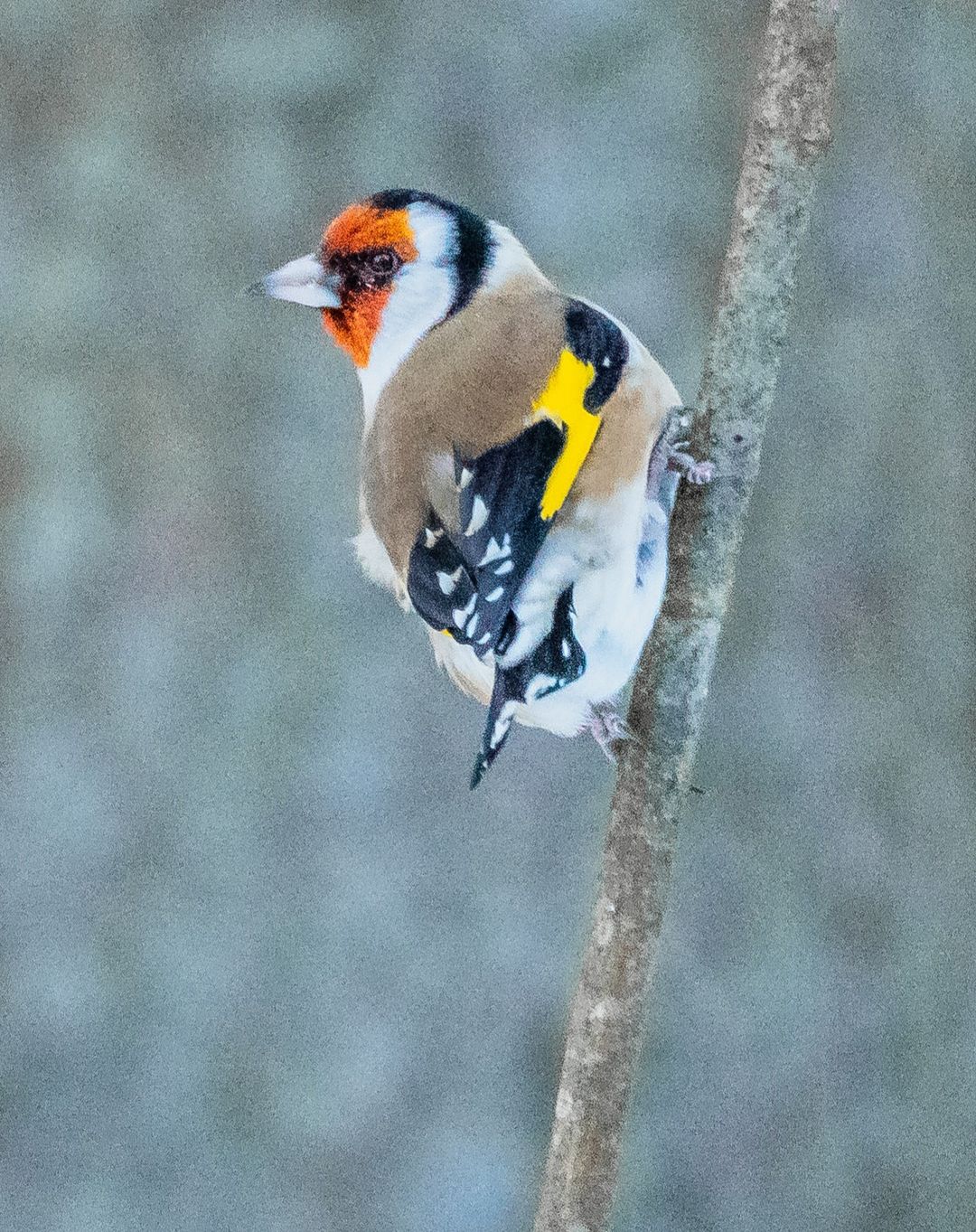 salonenteijo@instagram on Pinno: On meillä vaan hieno luonto,hyvää ...