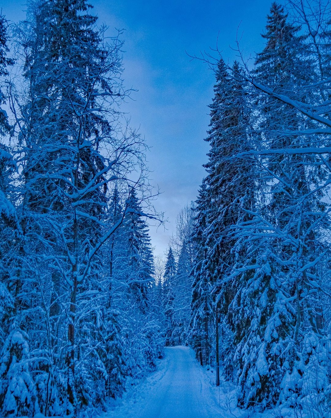 salonenteijo@instagram on Pinno: On meillä vaan hieno luonto,hyvää ...
