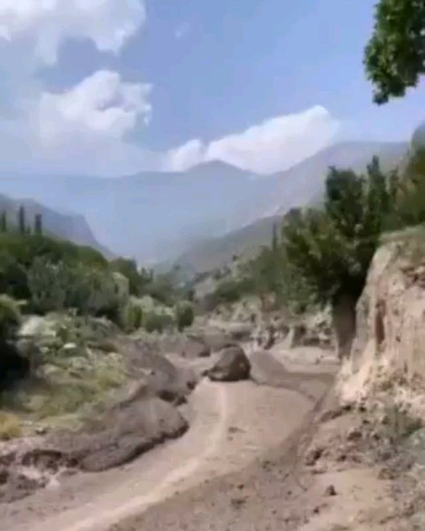 behtarin_clip@instagram on Pinno: قدرت سیل رو ببینید