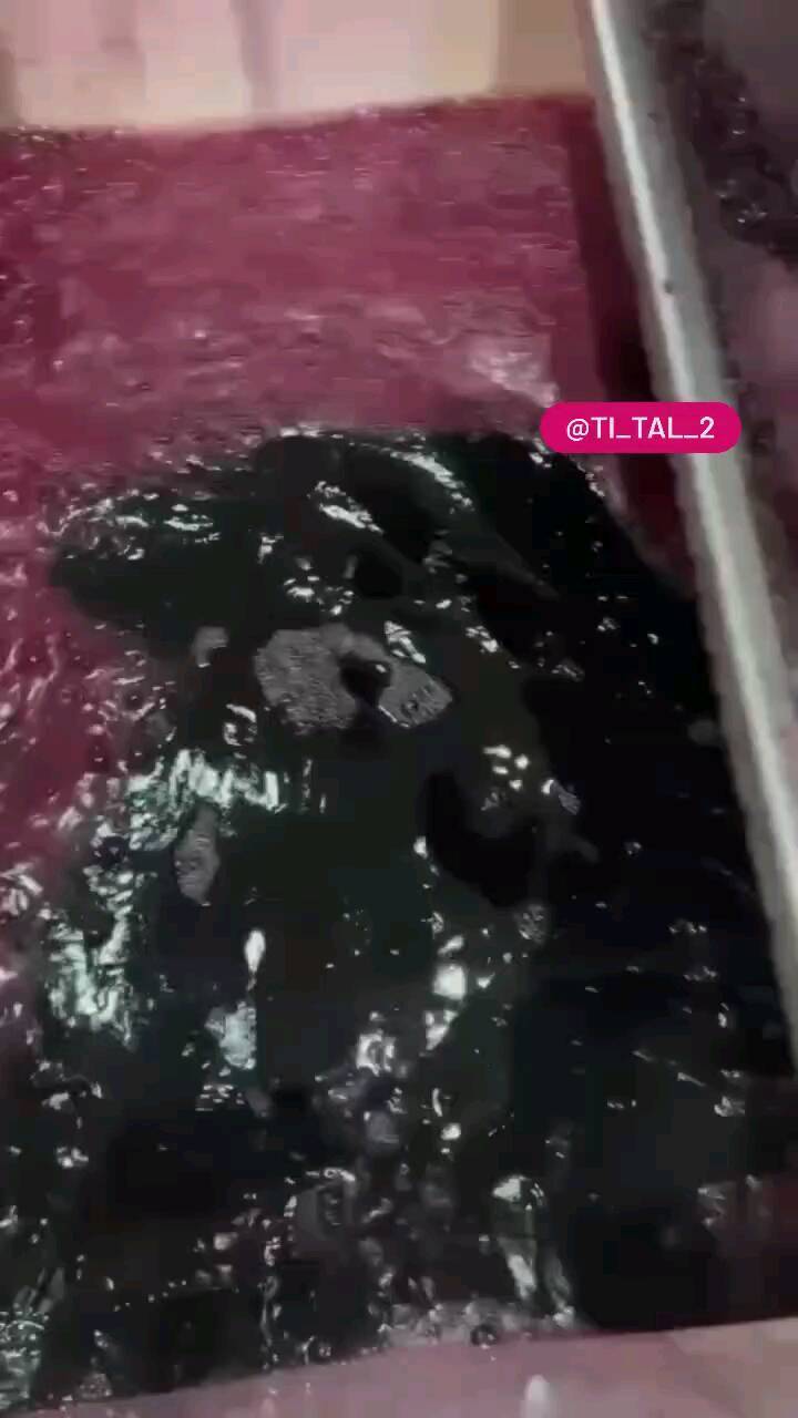 ti_tal_2@instagram on Pinno: بفرس برا رفیق کربلایی😉😉 ...