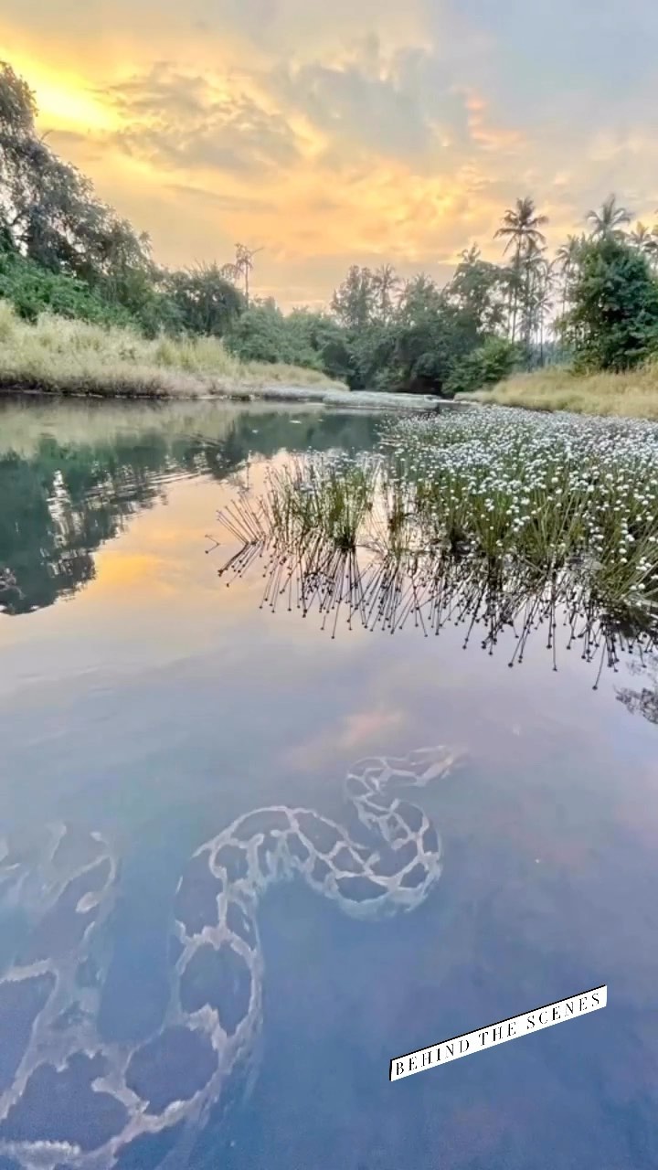 fangs_and_thangs@instagram on Pinno: Some behind the scenes on finding ...