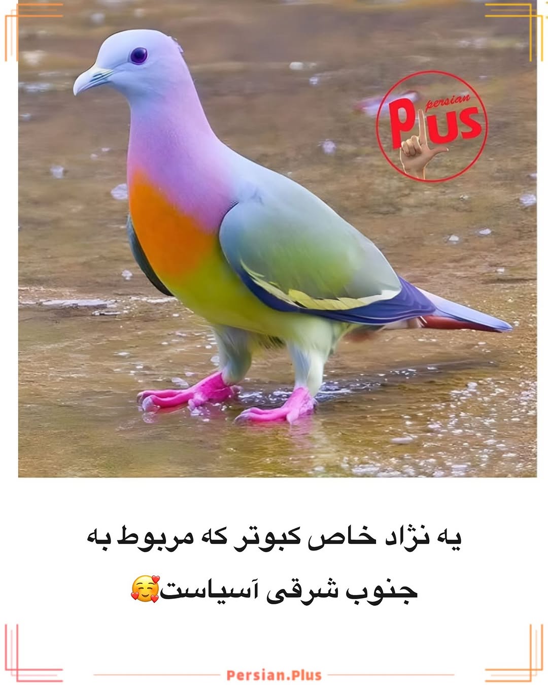 مجله و بلاگ پرشین پلاس on Pinno: کدوم جالب‌تره؟!