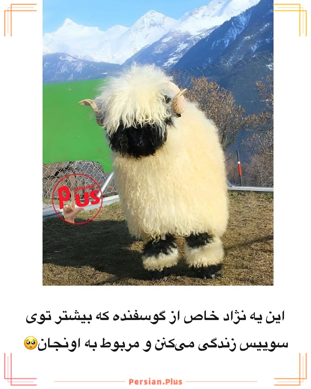 مجله و بلاگ پرشین پلاس on Pinno: کدوم جالب‌تره؟!