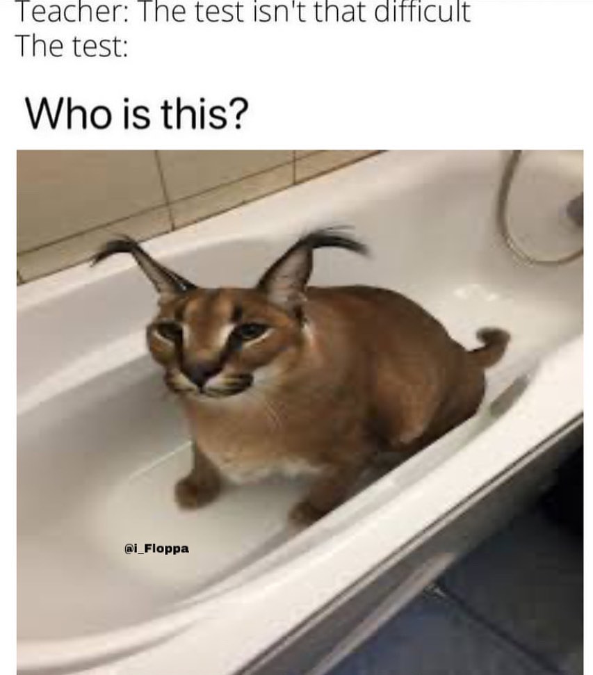 floppa_squad_@instagram on Pinno: Fr - Credit: oc - Join the floppa ...