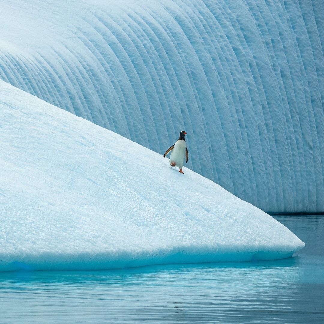 natgeo@instagram on Pinno: Photos by Pete McBride @pedromcbride@ins...