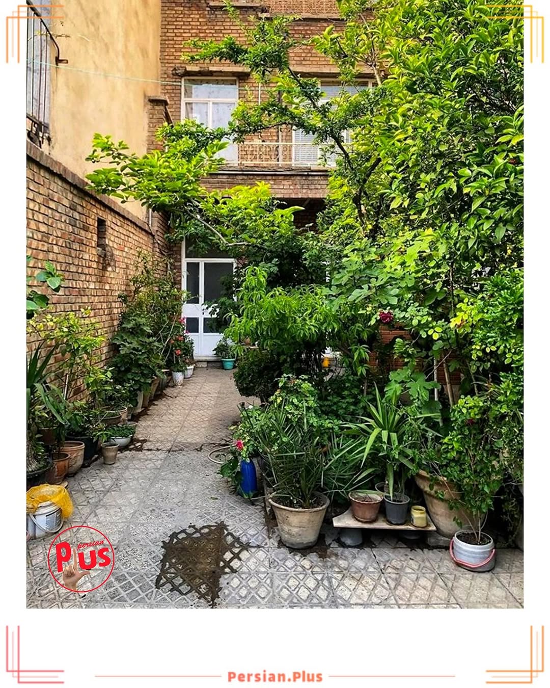 persian.plus@instagram on Pinno: چه قدر قشنگه