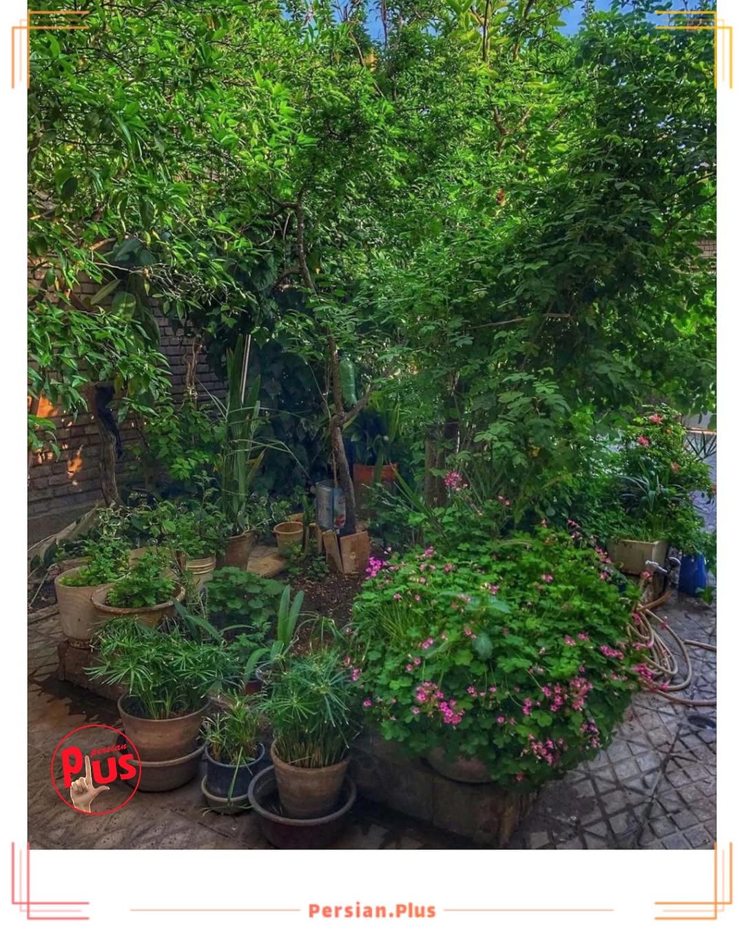persian.plus@instagram on Pinno: چه قدر قشنگه