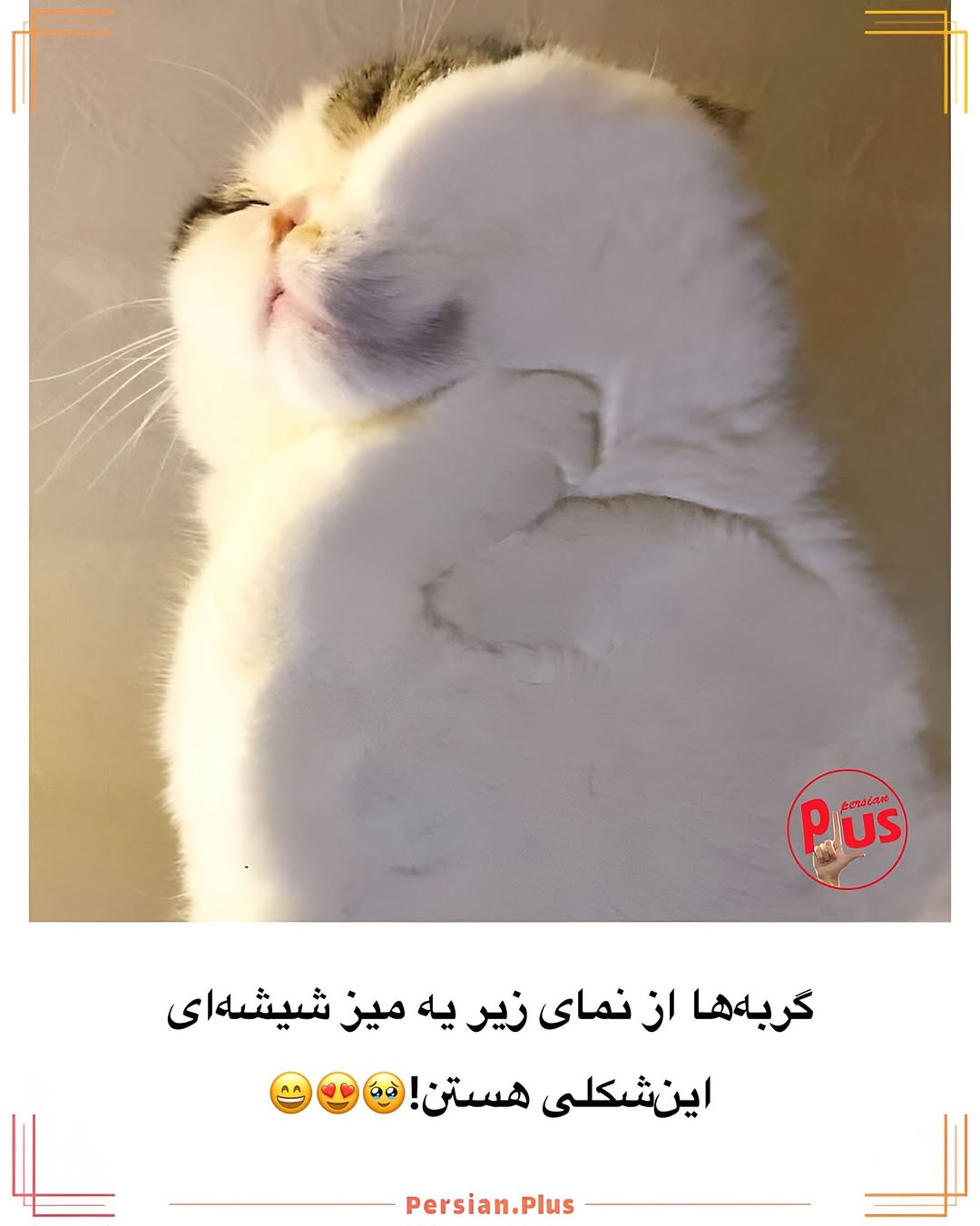 persian.plus@instagram on Pinno: خیلی بانمکن🥹🥺😍