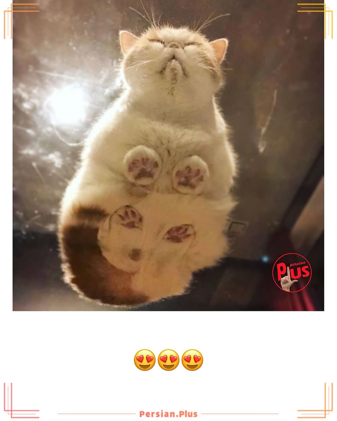 persian.plus@instagram on Pinno: خیلی بانمکن🥹🥺😍