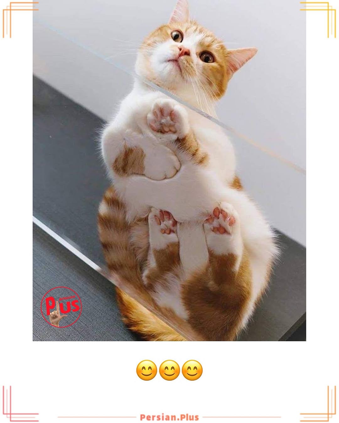 persian.plus@instagram on Pinno: خیلی بانمکن🥹🥺😍