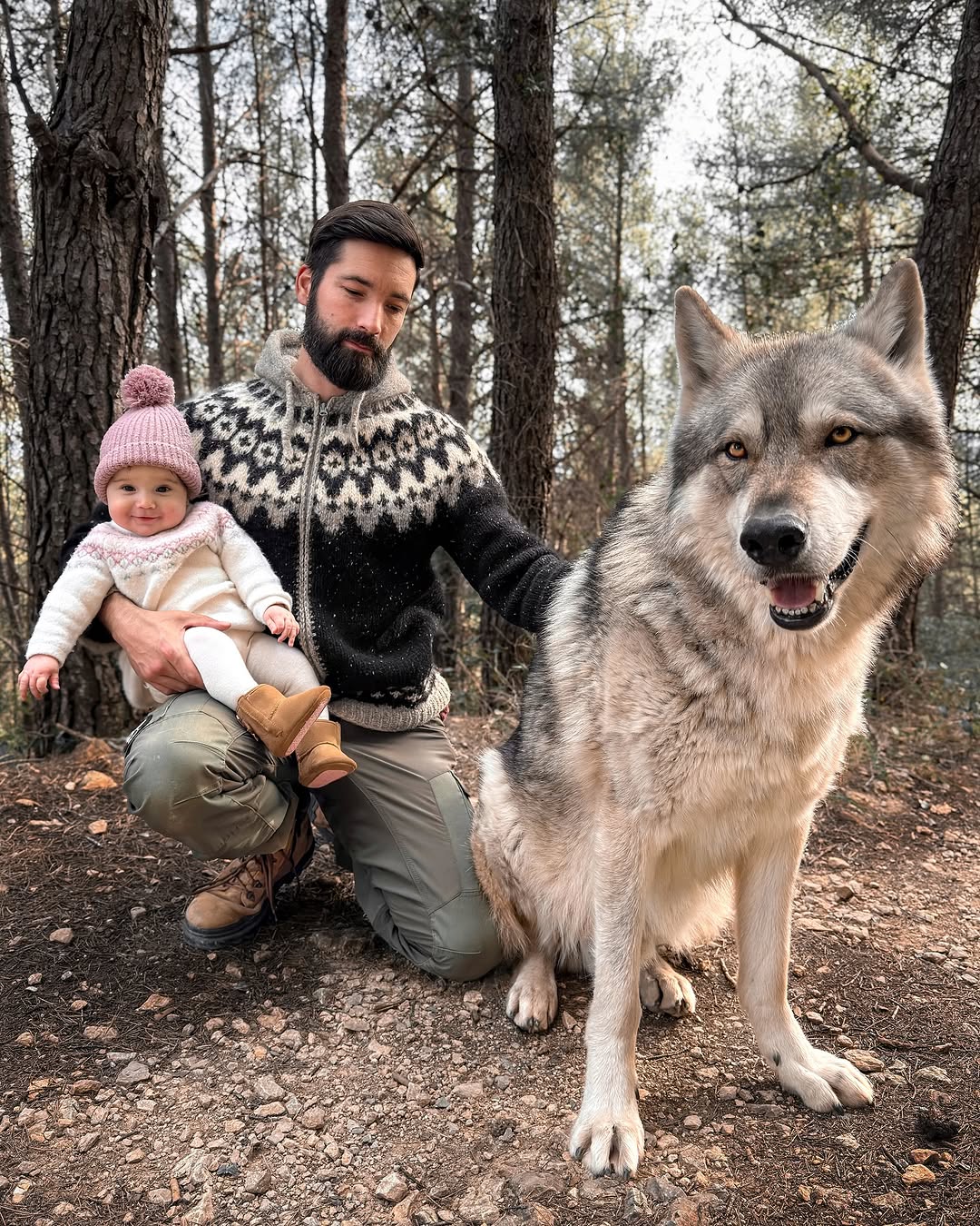 wolf_instinct@instagram on Pinno: I am more than excited and proud to ...