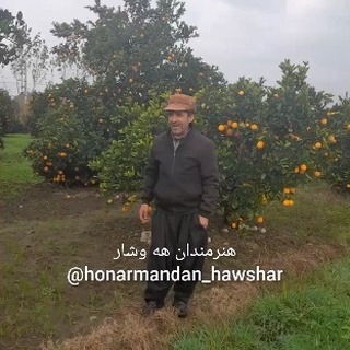 honarmandan_hawshar@instagram on Pinno: پیشکش تان بیت فیلم ارسالی ...