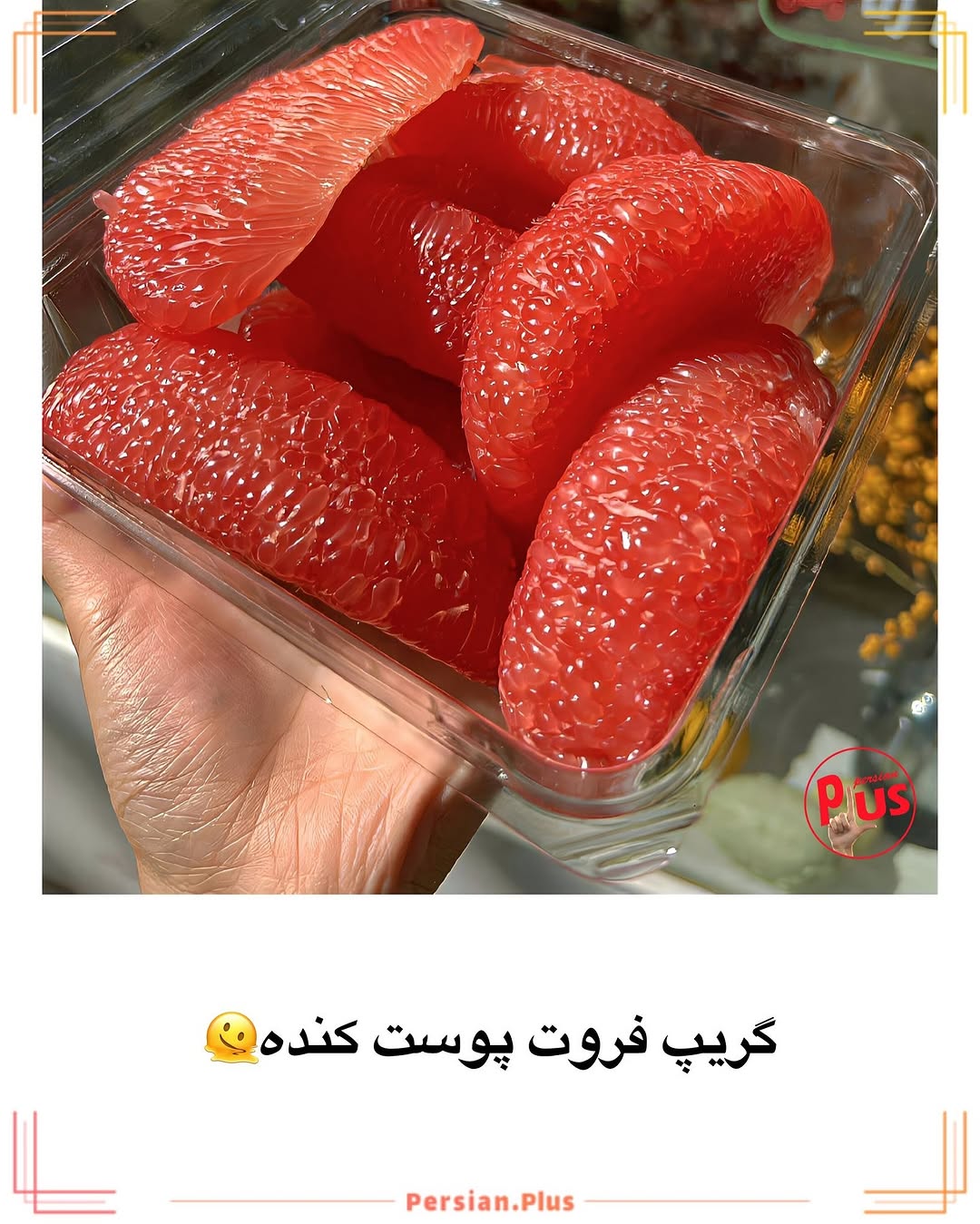 مجله و بلاگ پرشین پلاس on Pinno: عکسایی که دیدنشون حس خوبی داره🥰