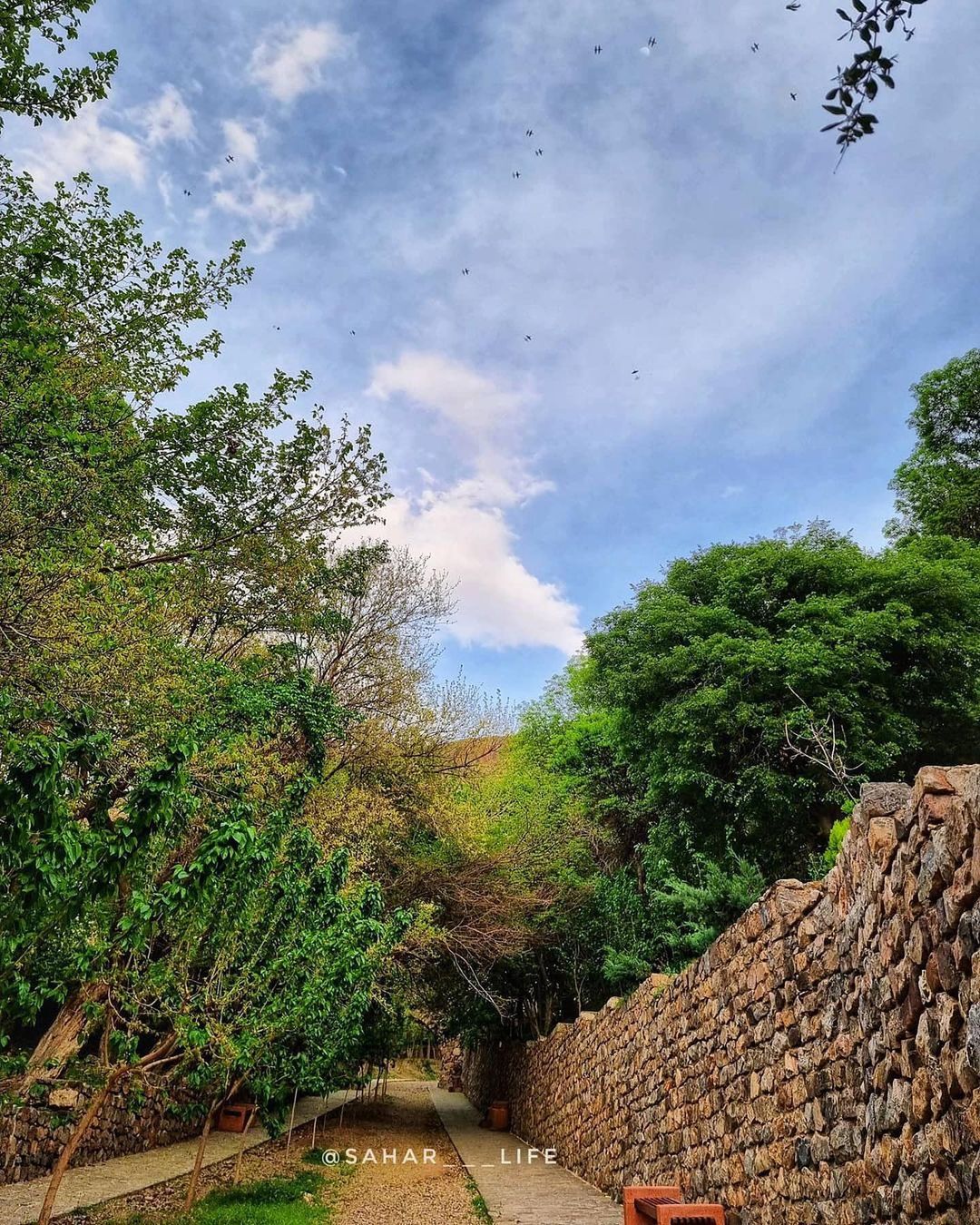 Tabriz_plus | تبريز پلاس on Pinno: 😍😍 . عکسها رو ورق بزنید لطفا👉👆 اینجا ...