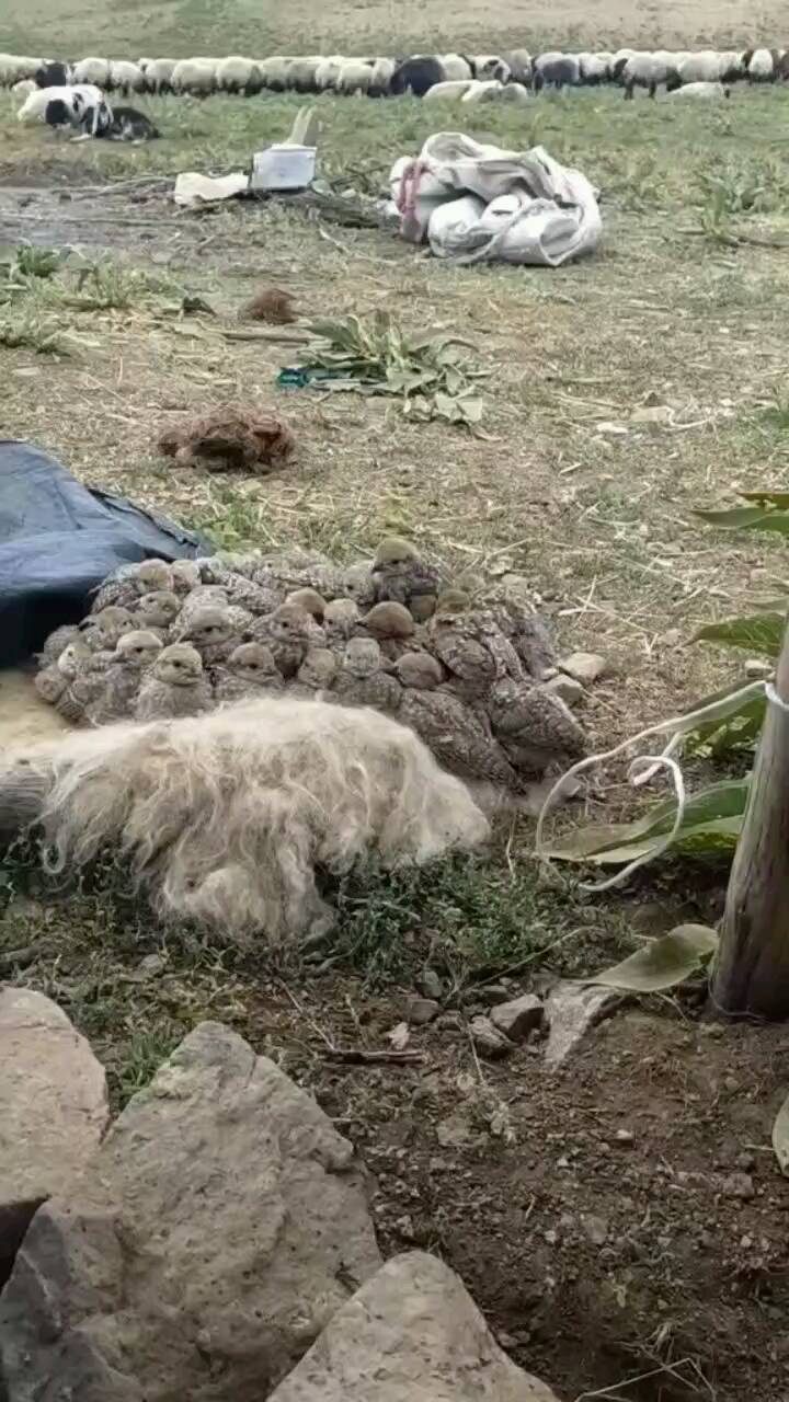 ti_tal_2@instagram on Pinno: هنر در طبیعت نهفته‌ است و متعلق به‌ کسی ...