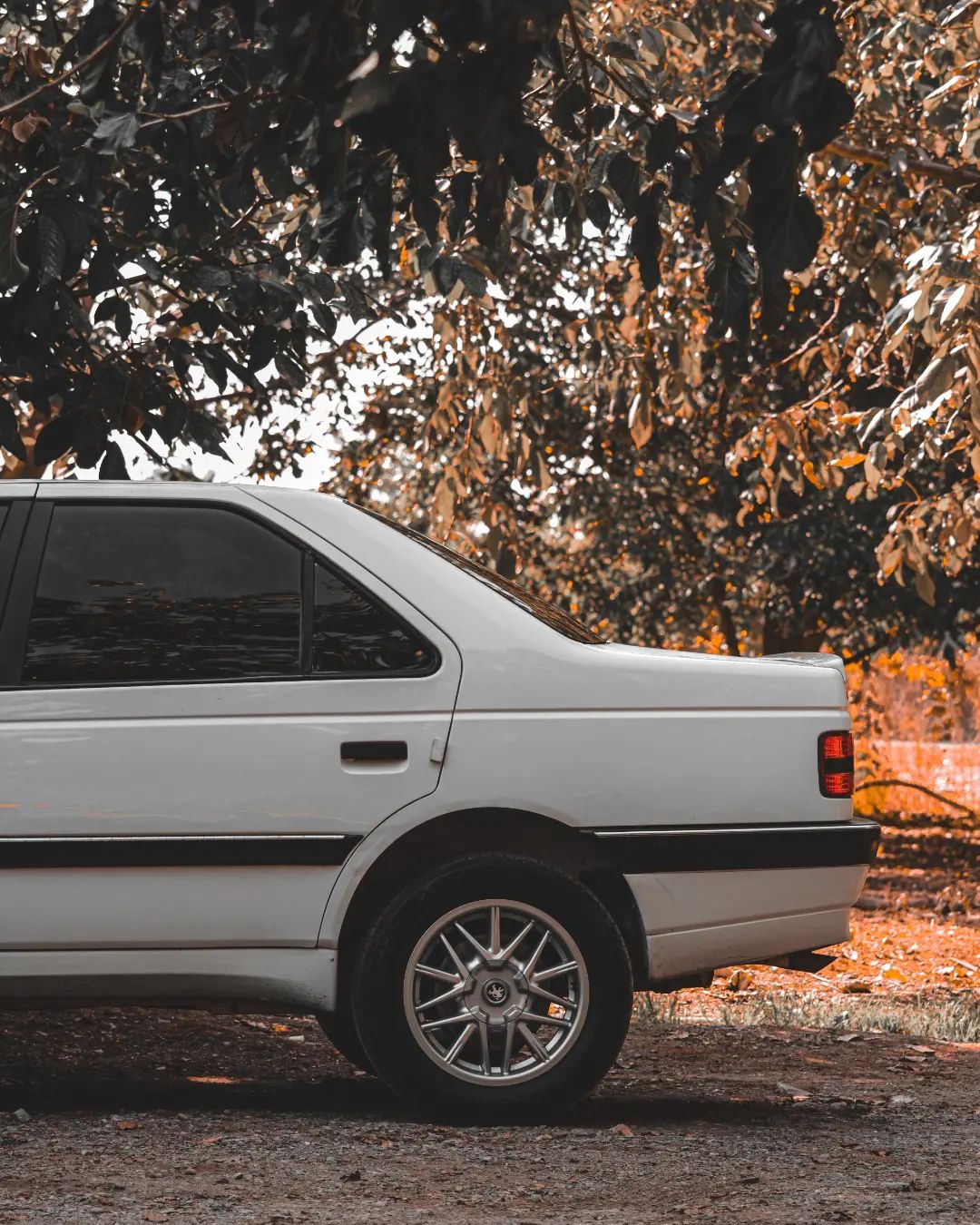 405.slx.mostafa@instagram on Pinno: ورق بزنید لذت ببرید و لایک کنید🌹 ایالات ...