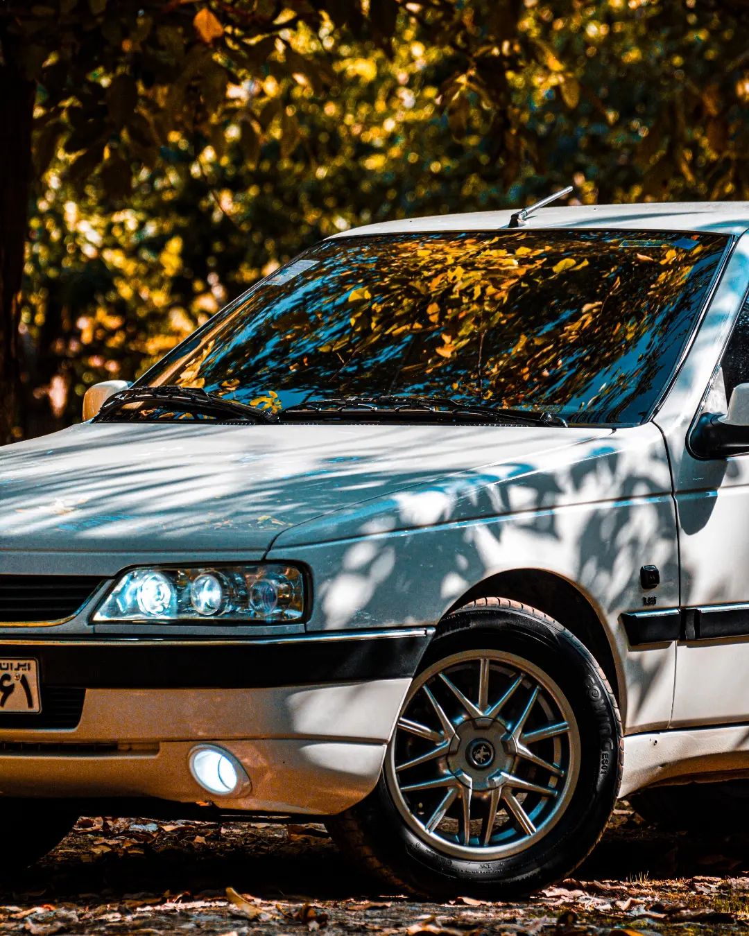 405.slx.mostafa@instagram on Pinno: ورق بزنید لذت ببرید و لایک کنید🌹 ایالات ...