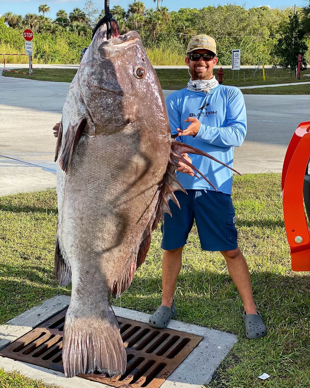 blacktiph@instagram on Pinno: Giant Warsaw Groupers are by far one of ...
