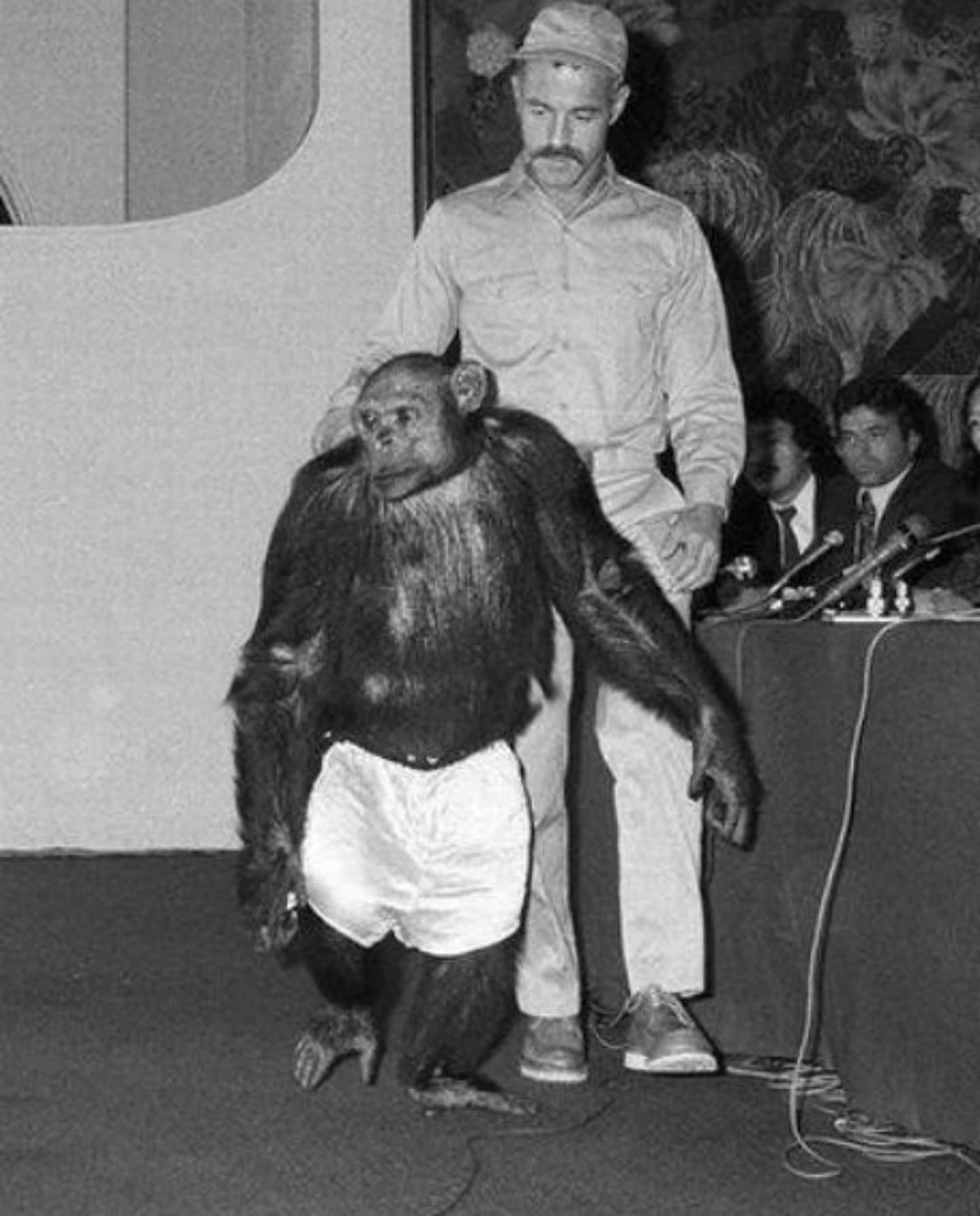 Humanzee Oliver Documentary