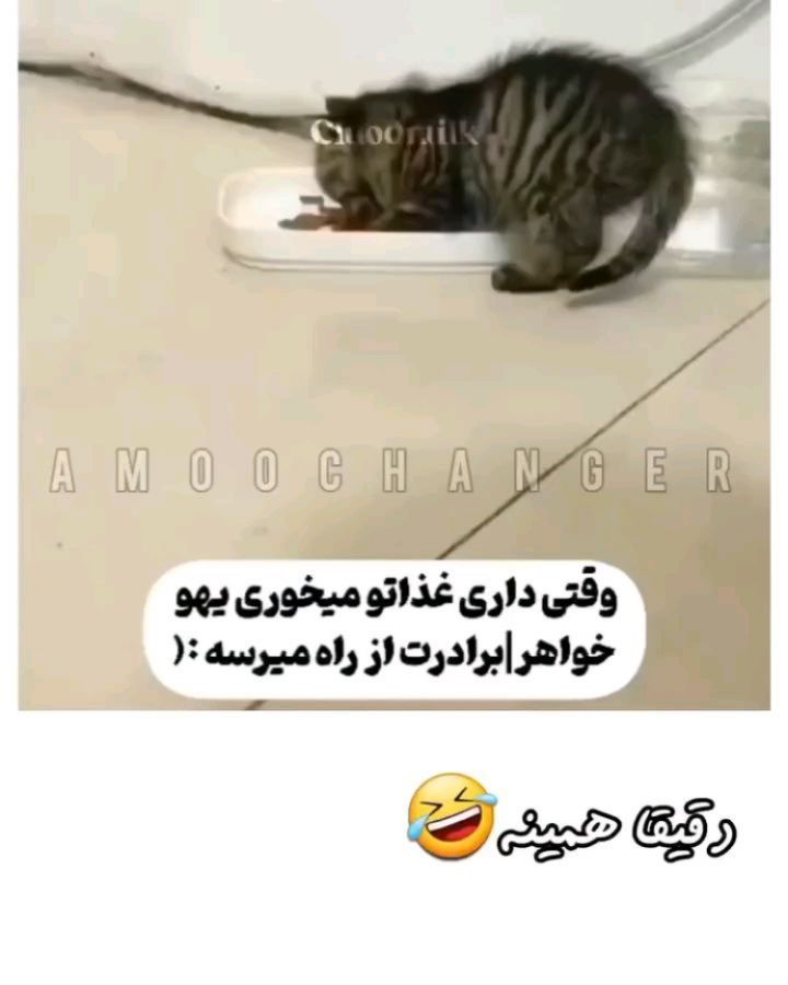 Mazenimuzicasliinstagram On Pinno 🤣🤣🤣🤣 پست اسلایدی کدوم ؟؟😂😂😂 دوستان عزی