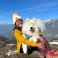 boomer_the_landcloud@tiktok on Pinno: How dare I leave him for a few ...