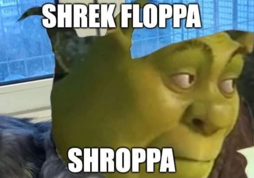 i_floppa@instagram on Pinno: Fr - Join the floppa cult by following 👉...