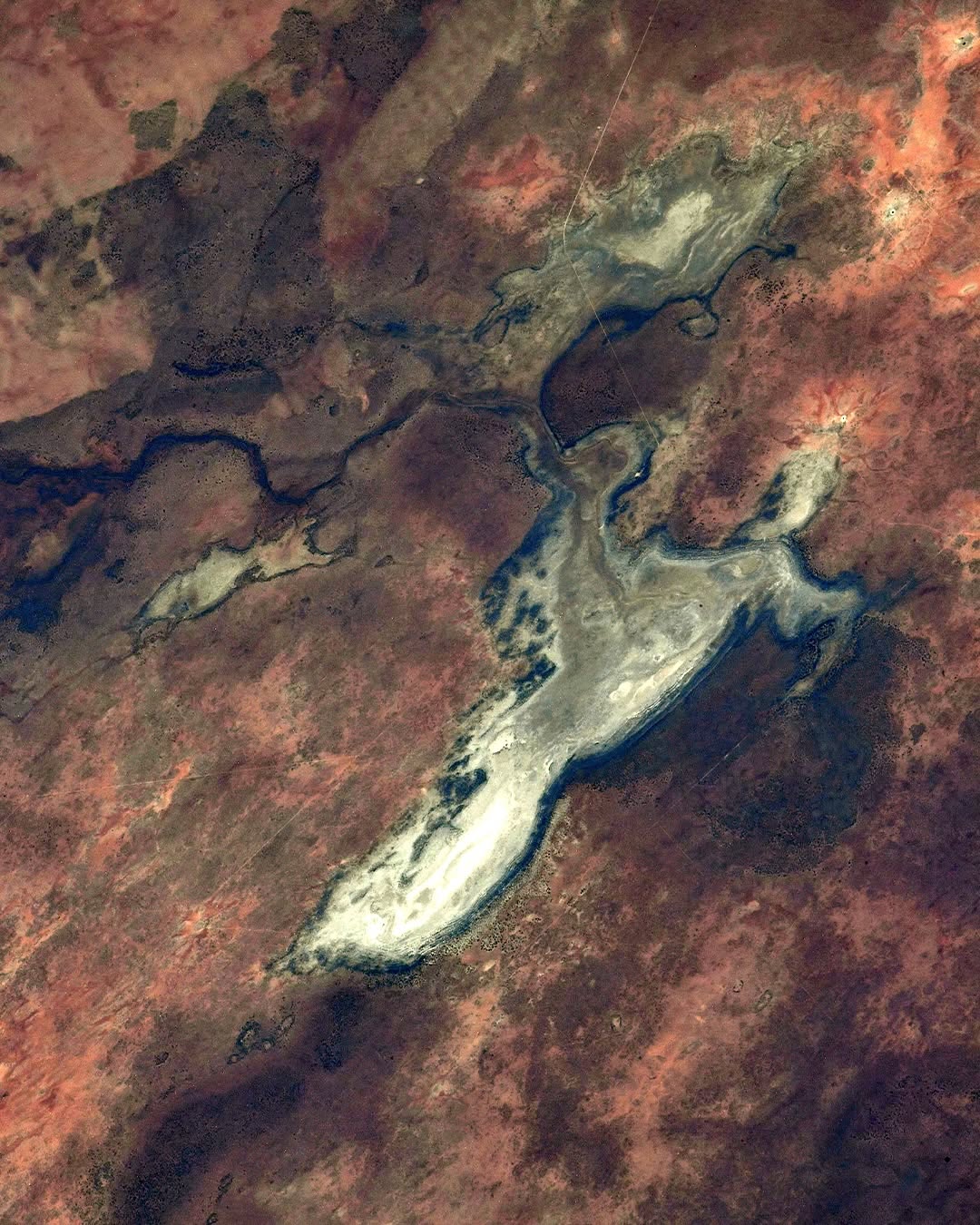 europeanspaceagency@instagram on Pinno: Do you live by a wetland? 💧 ...