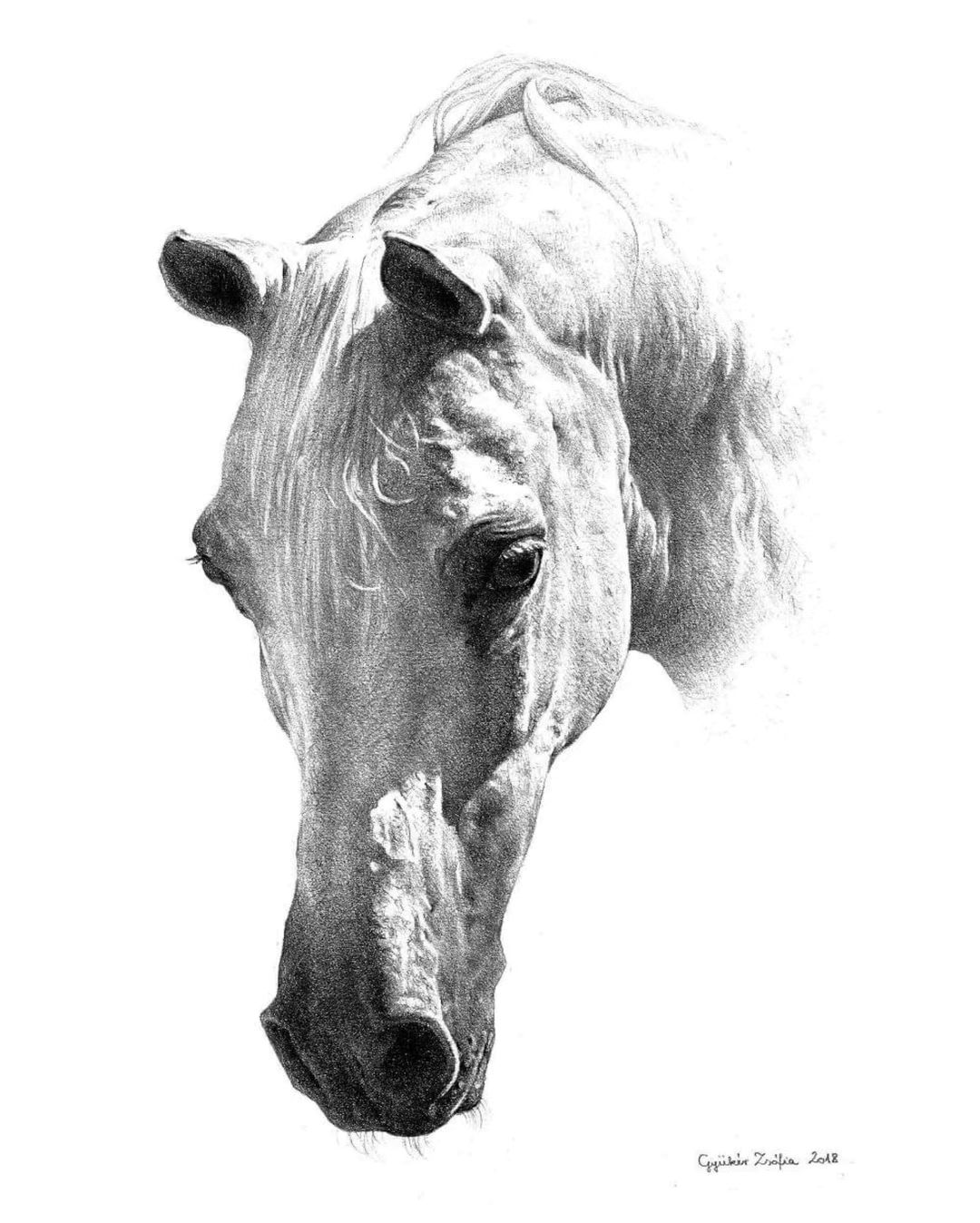 graphite.masters@instagram on Pinno: Marvelous drawing by @zsofiagyuker ...