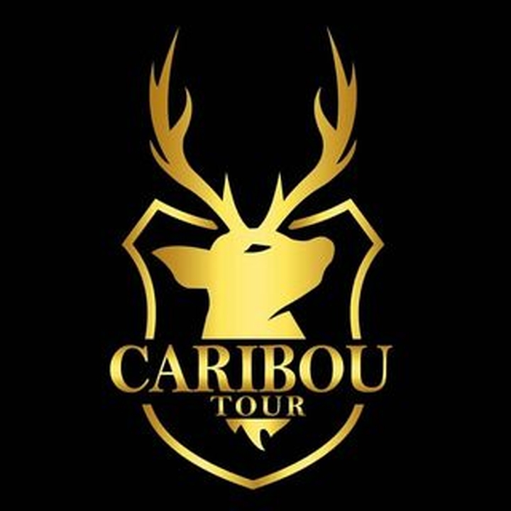 caribou_tour@instagram on Pinno
