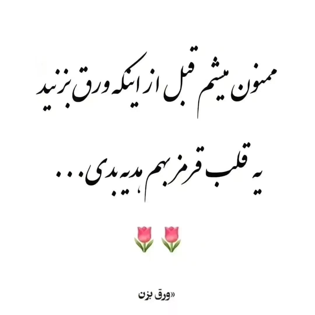 farhangholakoueenaeinee-instagram-on-pinno