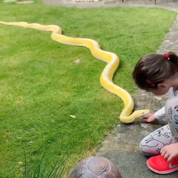 fangs_and_thangs@instagram on Pinno: What are your thoughts on this