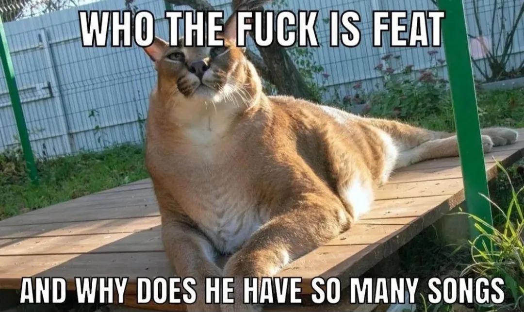 i_floppa@instagram on Pinno: Fr - Join the floppa cult by following 👉...