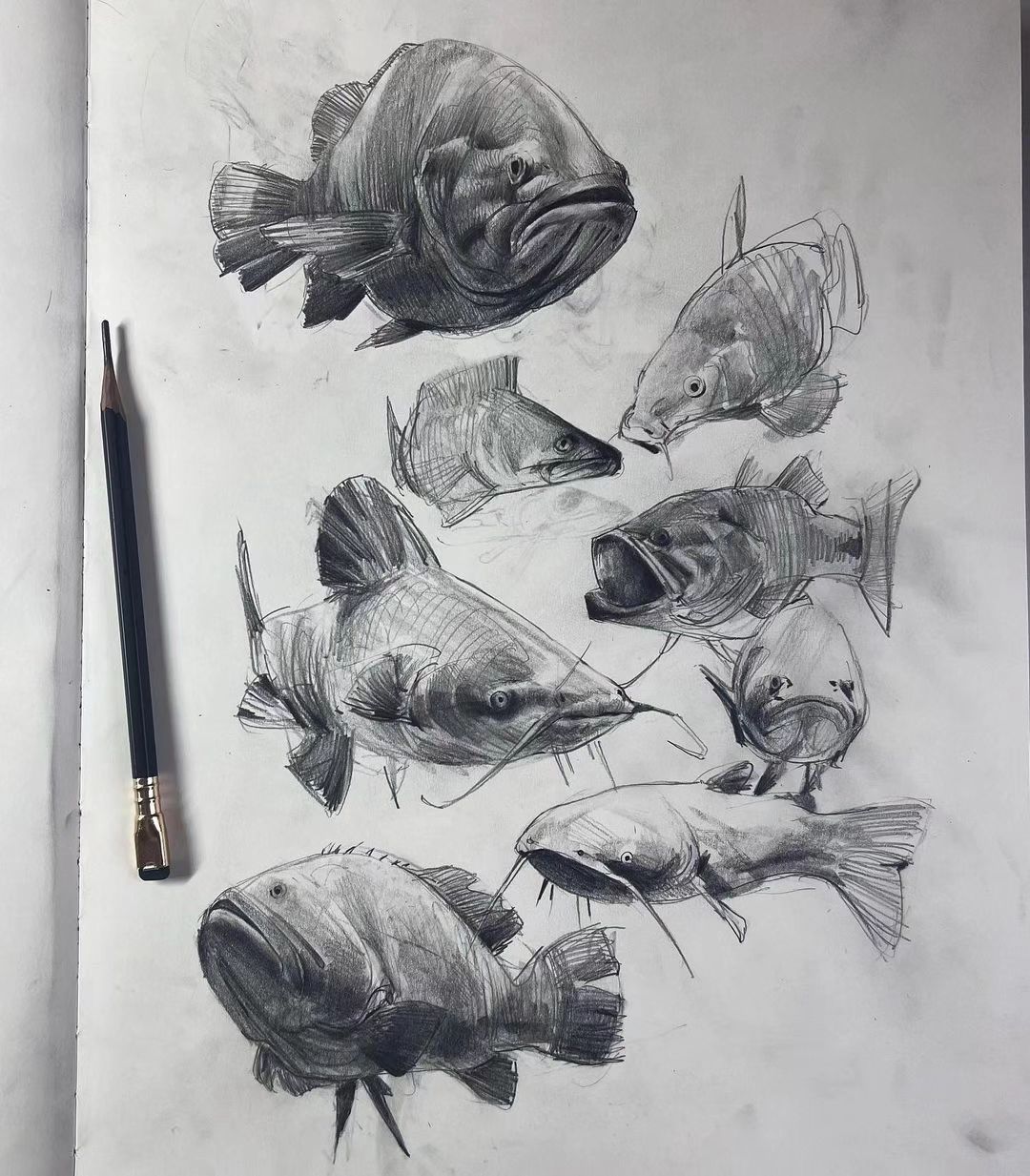 graphite.masters@instagram on Pinno: Awesome study by @jesserintaylor ...