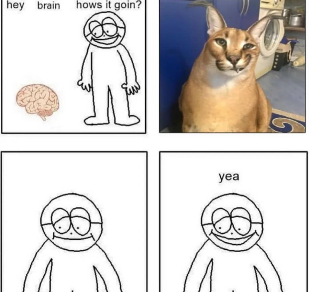 i_floppa@instagram on Pinno: Fr - Join the floppa cult by following 👉...