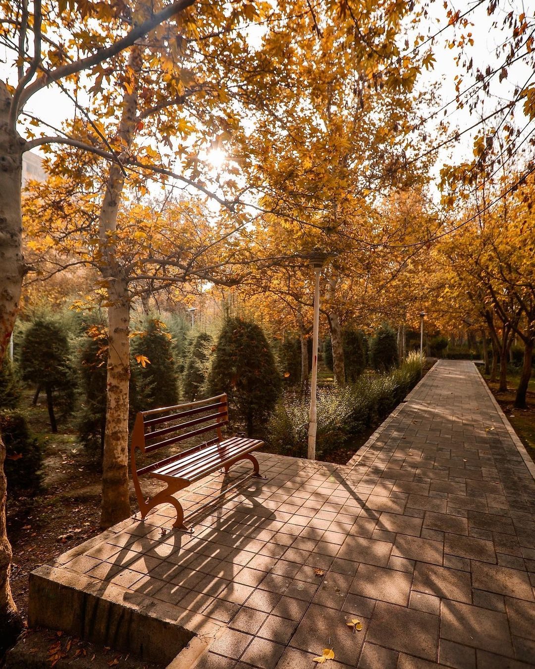tehran.fact@instagram on Pinno: 🍁روزهای پاییزی در پارک لاله تهران🍂 @tehr...