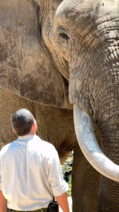 geosafaris@instagram on Pinno: Video @reilly.travers@instagram __ Won...