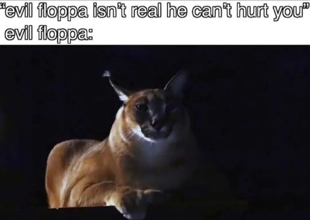 i_floppa@instagram on Pinno: Fr - Join the floppa cult by following 👉...